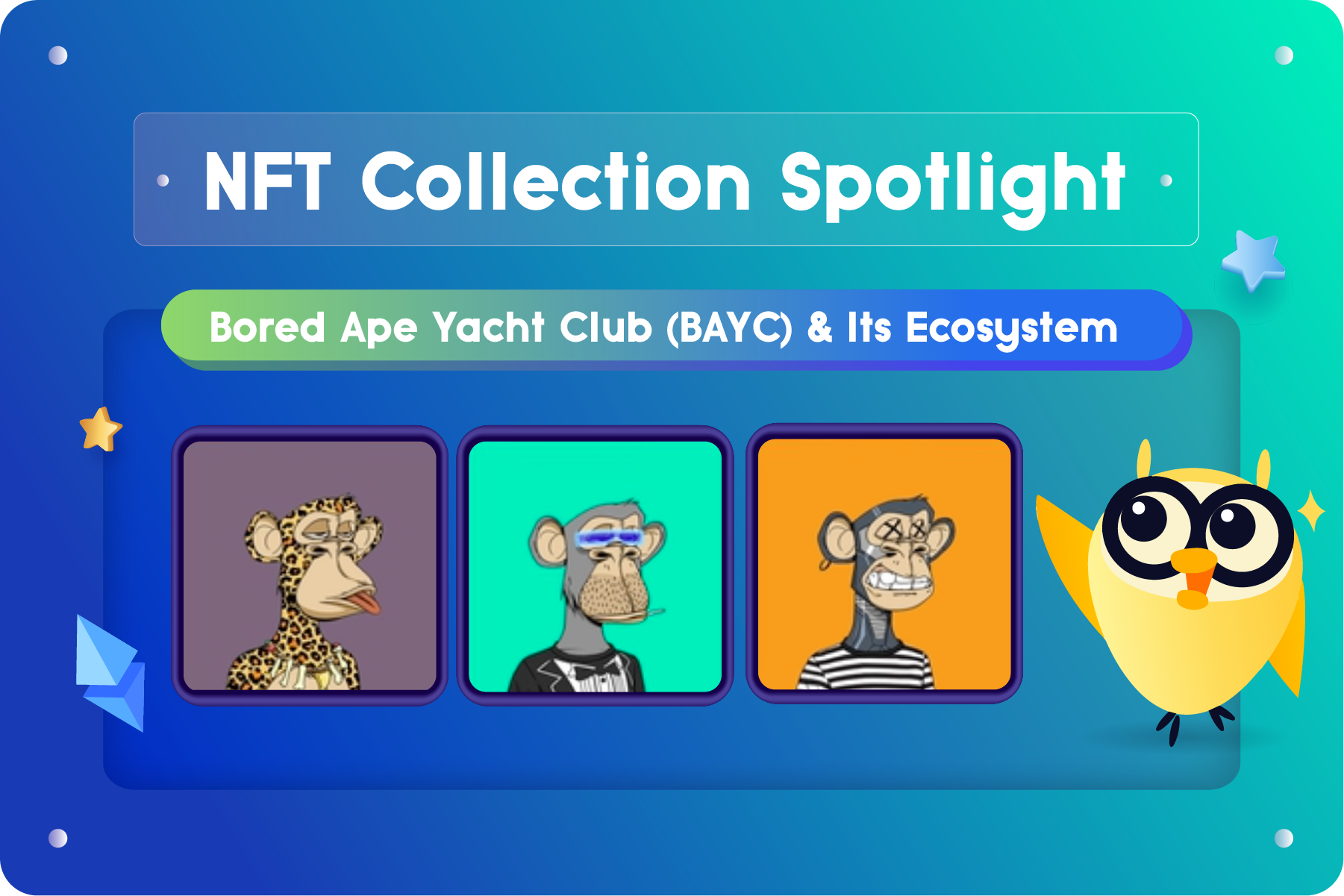 Bloom Blog - NFT Spotlight: Bored Ape Yacht Club (BAYC)