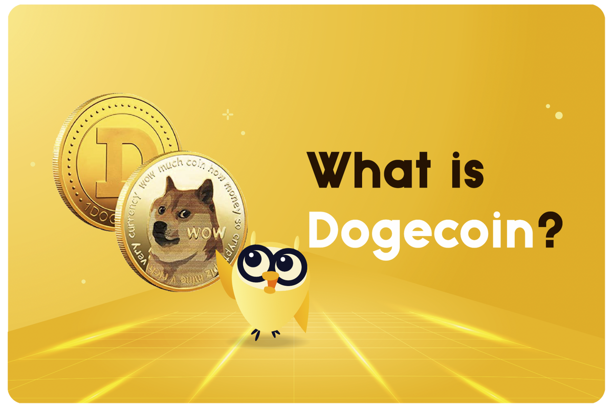 Bloom Blog - What Is Dogecoin?