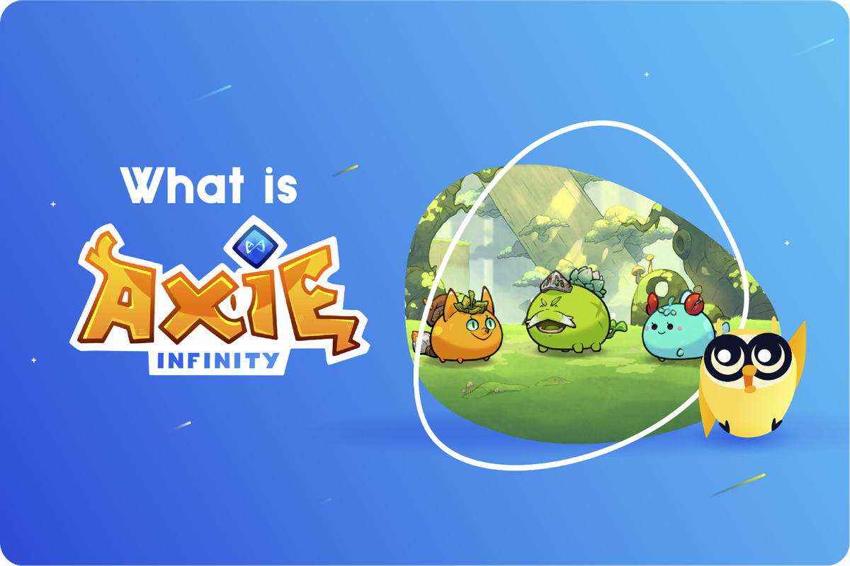 Bloom Blog - What Is Axie Infinity?