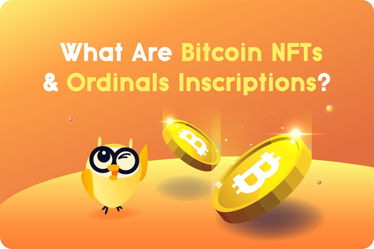 Bloom Blog- What Are Bitcoin NFTs & Ordinals Inscriptions?