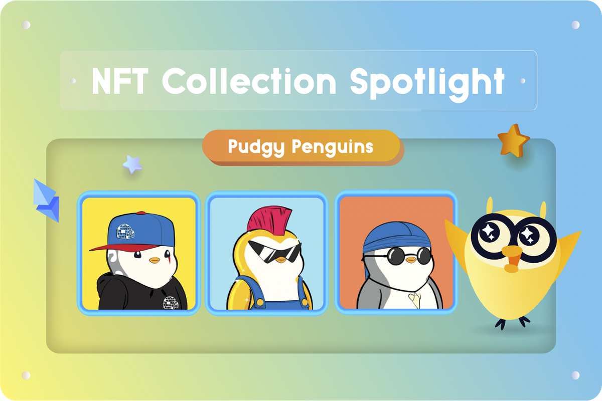 Bloom Blog- 🔎 NFT Collection Spotlight: Pudgy Penguins Bloom Blog- 🔎 NFT Collection Spotlight: Pudgy Penguins