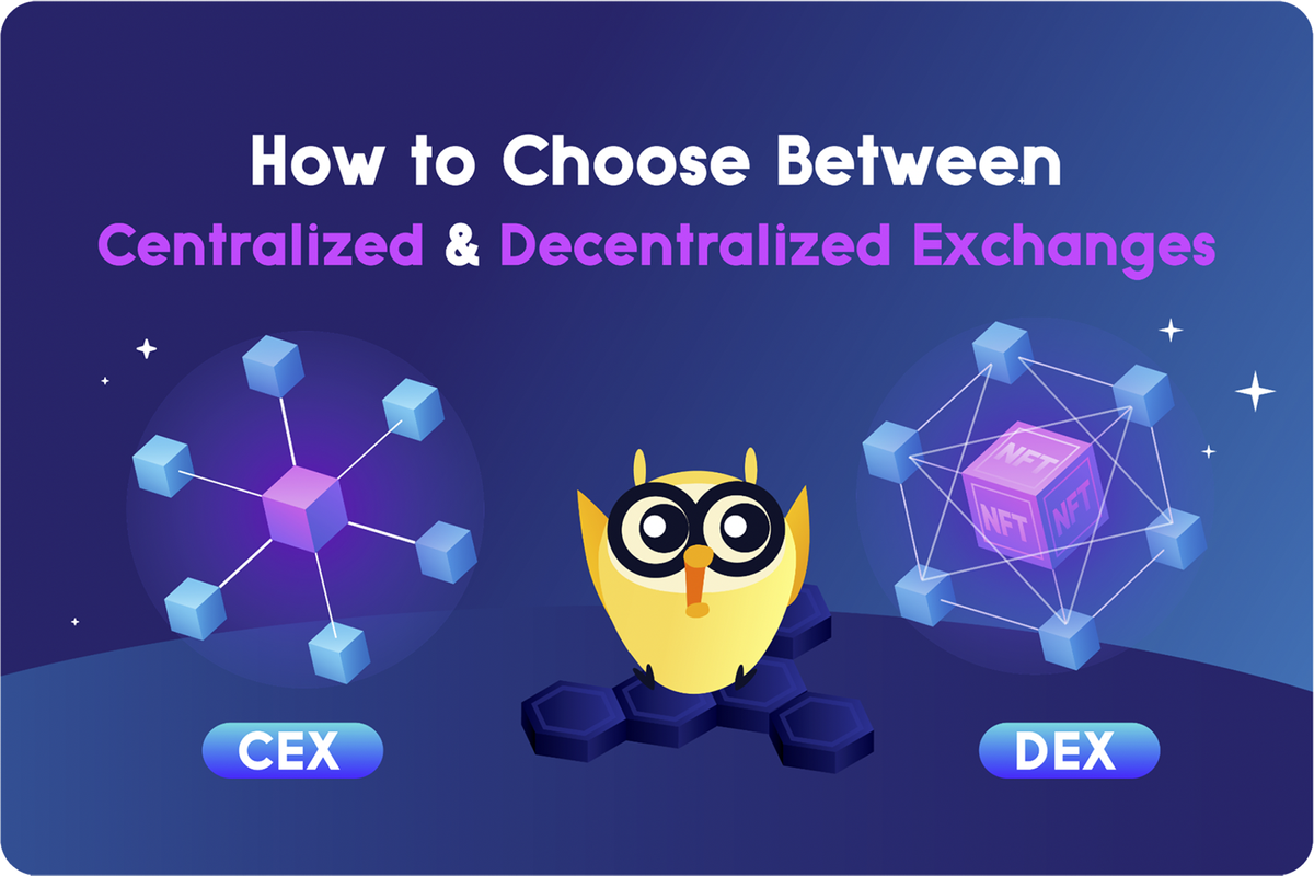 Bloom Blog - 🏛️🖧 How to Choose Between Centralized & Decentralized Exchanges (CEX v DEX)