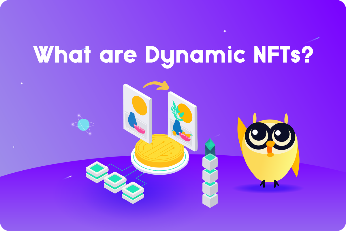 Bloom Blog - What Are Dynamic NFTs (dNFTs)? Bloom Blog - What Are Dynamic NFTs (dNFTs)?