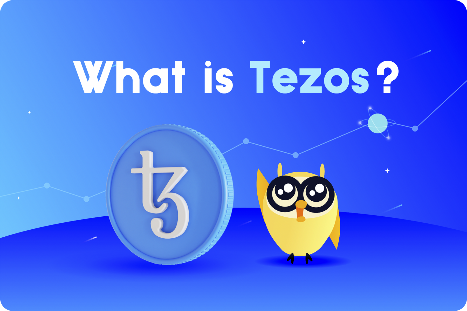 Bloom Blog- What Is Tezos?